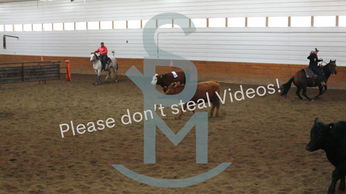 Sorting Clip 33 | Sterling Photography