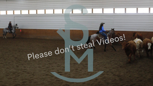 Sorting Clip 4 | Sterling Photography