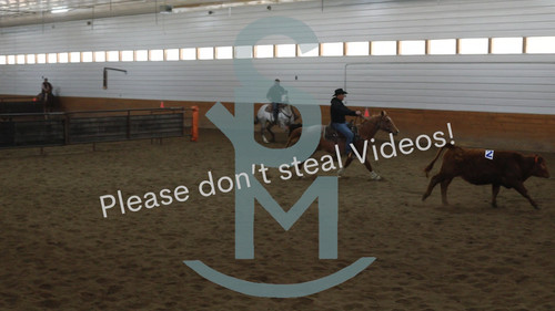 Sorting Clip 5 | Sterling Photography