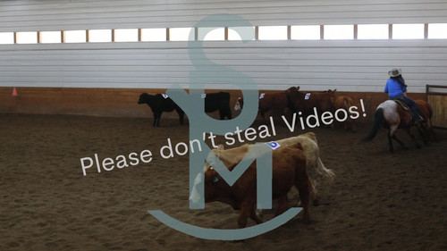 Sorting Clip 6 | Sterling Photography