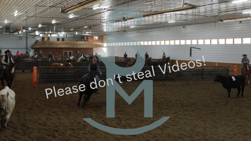 Sorting Clip 23 | Sterling Photography