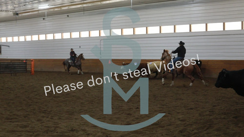 Sorting Clip 8 | Sterling Photography