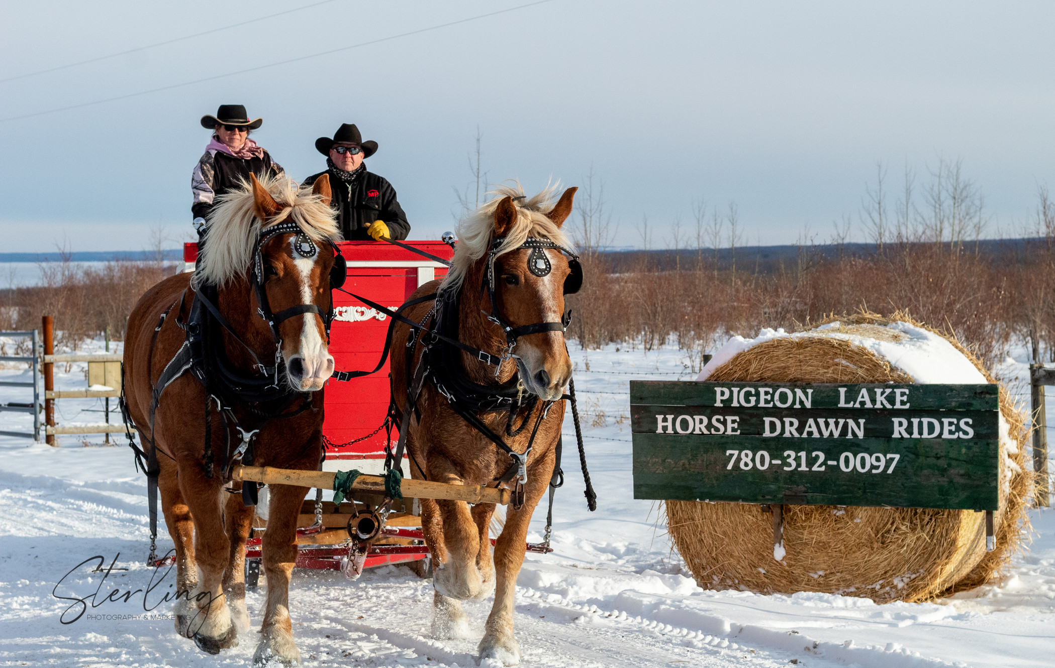 GLOW TRAIL RIDES | PLHDR