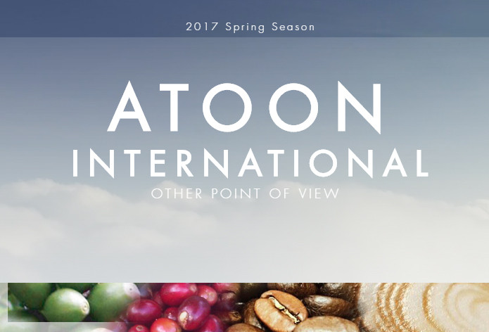 ATOON INTERNATIONAL