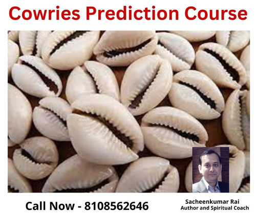 Cowries Prediction Course | Vasturai