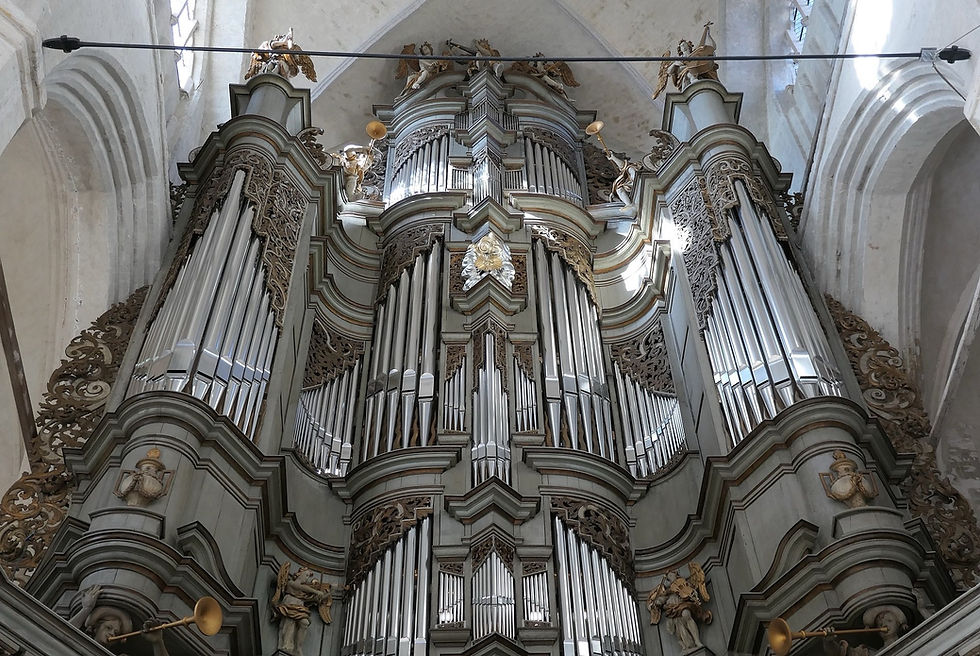 St. Jakobi, Stralsund | Jan Liebermann