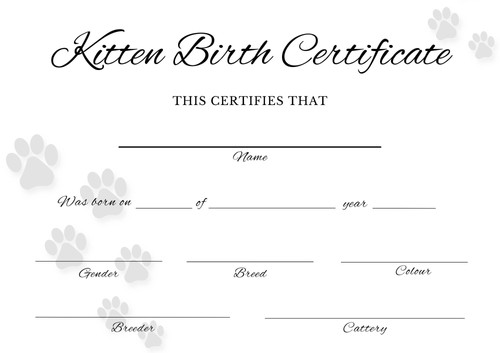 Basic Kitten Birth Certificate - Digital | My Breeding Store