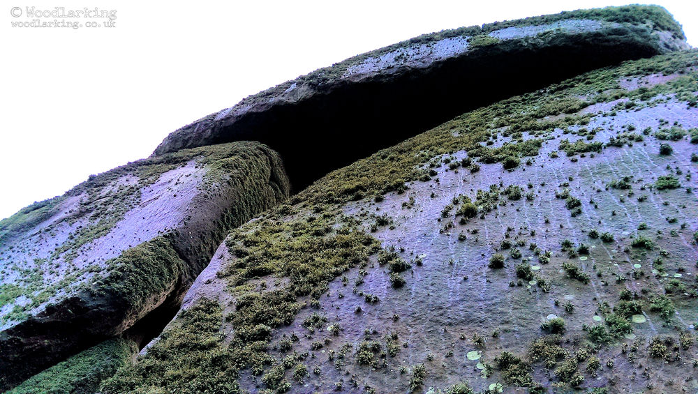 Stonehenge Earth Fur... | Woodlarking