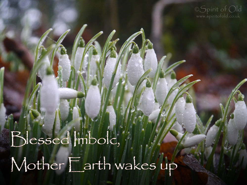 Imbolc Blessings... | Woodlarking