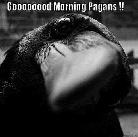 Good Morning Pagans! | Woodlarking