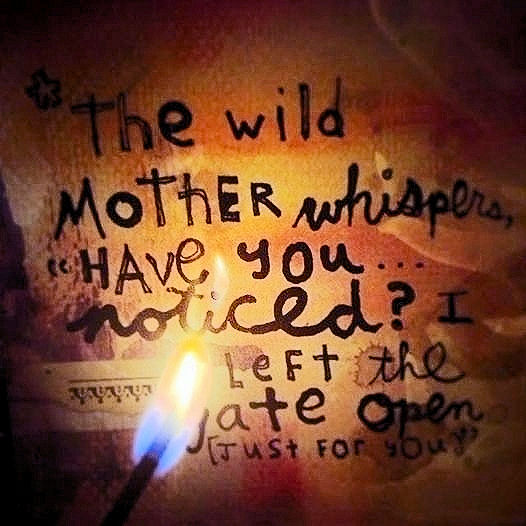 The Wild Mother... | Woodlarking