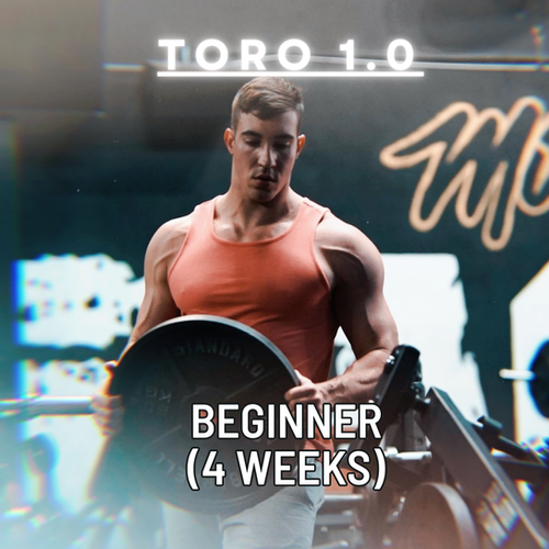Toro 1.0 | Toro Training