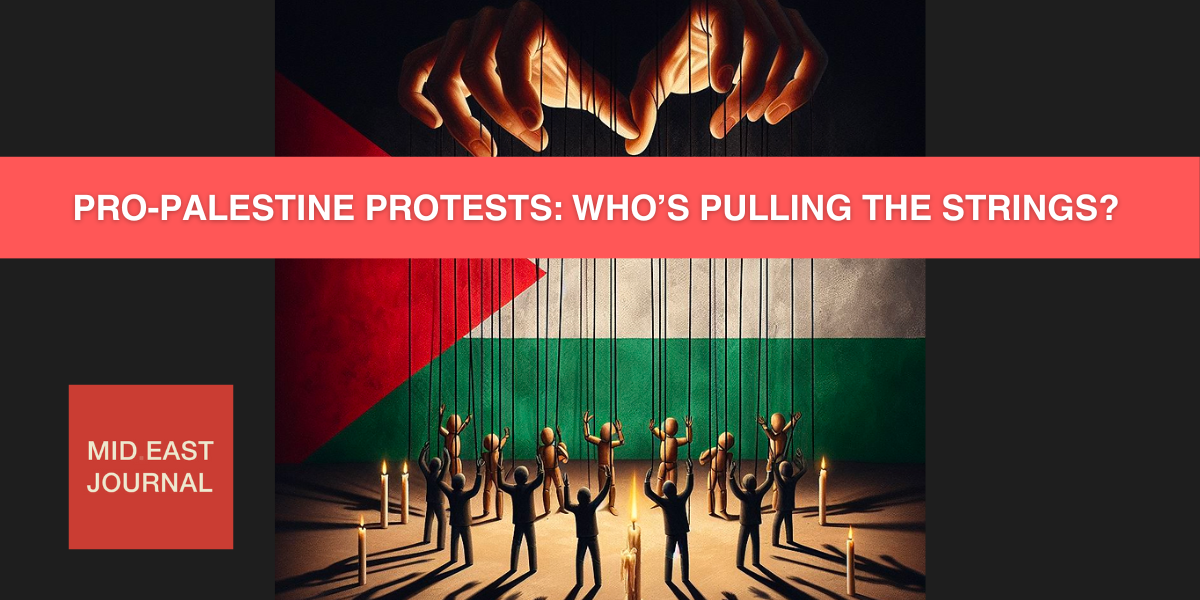 Who is behind the pro-Palestine protests?