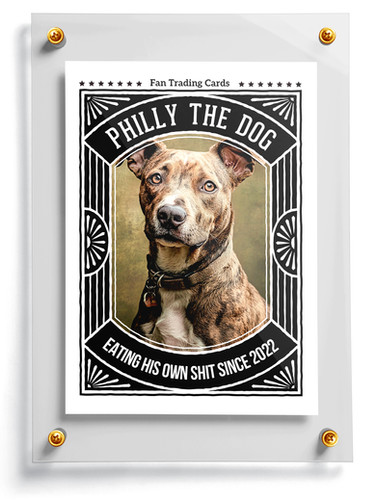 Saratoga Pet Custom Card | Adorable Pet Trading Card | Fan Card + Iron ...