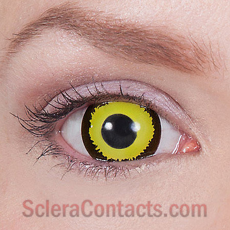 Tigera Mini-Sclera Contacts | $49.99 | USA | ScleraContacts.com