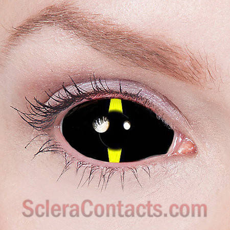 Blacklash Sclera Contacts | $64.99 | USA | ScleraContacts.com