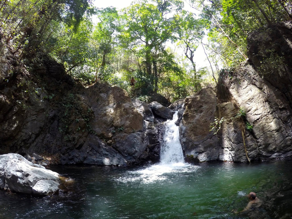 Portobello Waterfall Tour