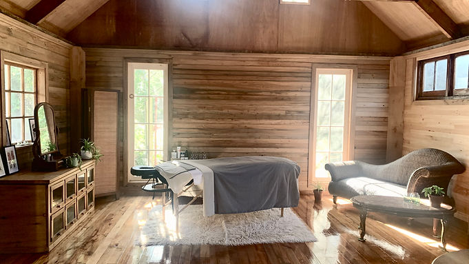 About | The Muscle Suite