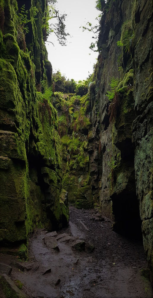 The Eternal Mystery of Lud's Church