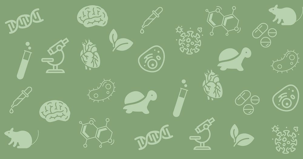 Choosing your modules! (22/23)