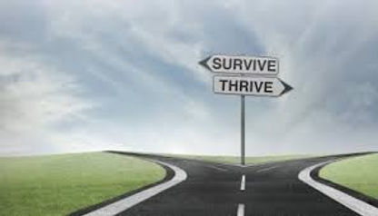 Survive and Thrive - A tale of 2 (very different) roads.