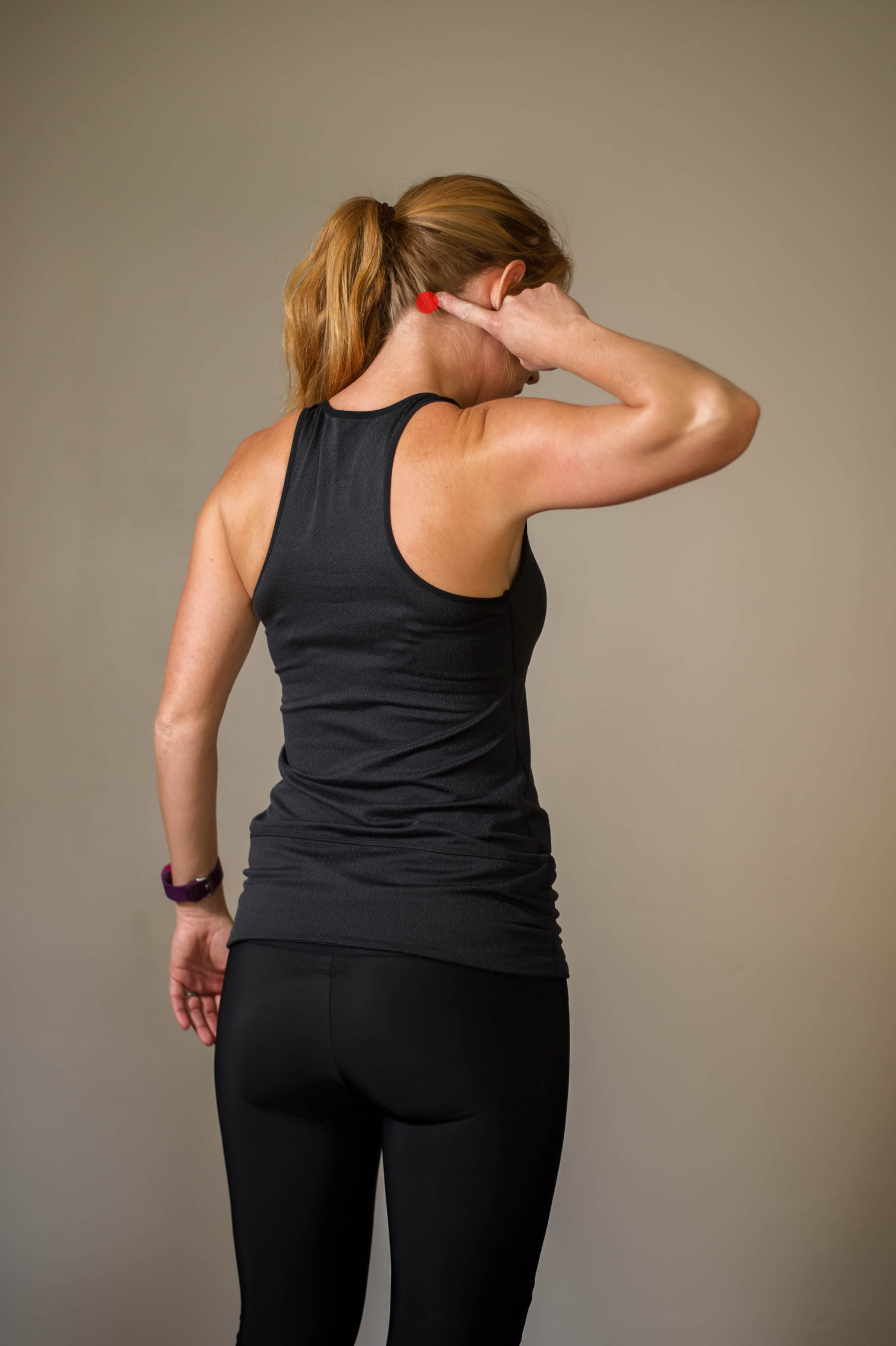 Fascial Distortion Model at the FDM Academy