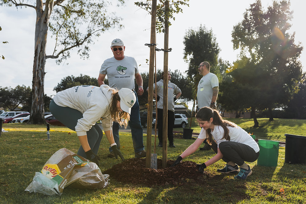 April 2026: Plant It Forward: 1,000 Trees for Earth Month!