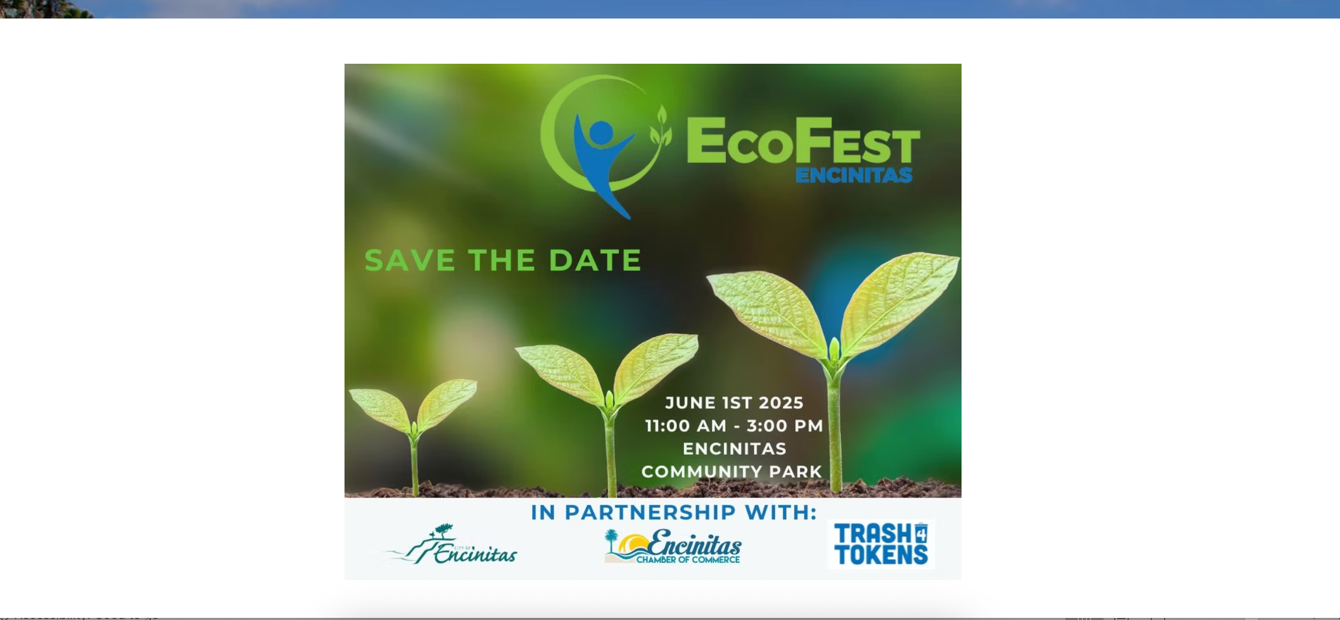 Encinitas Ecofest | Tree San Diego