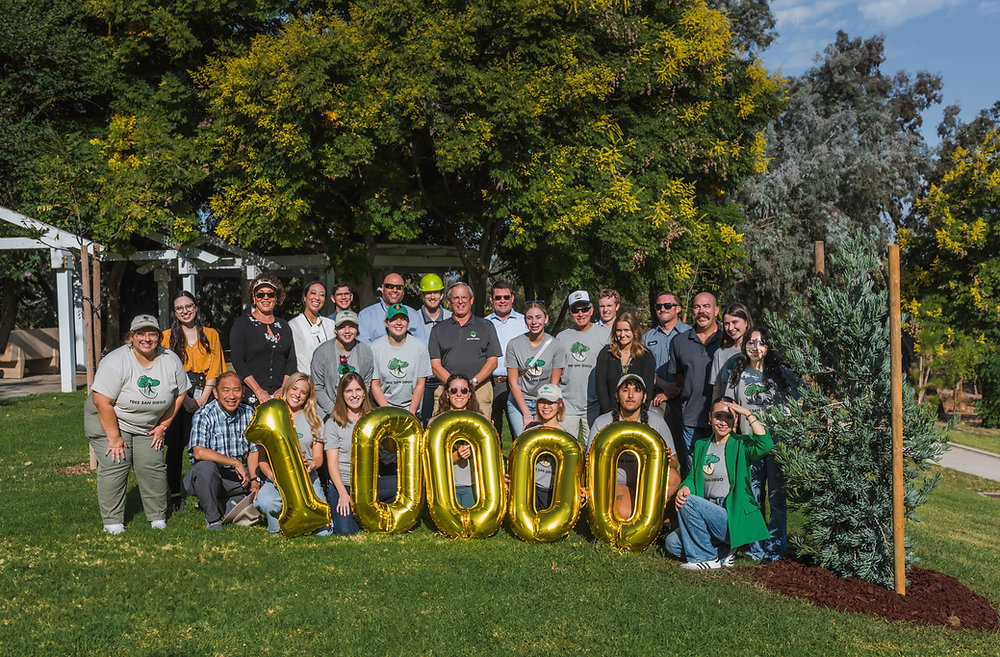October 2024: CELEBRATING 10 YEARS