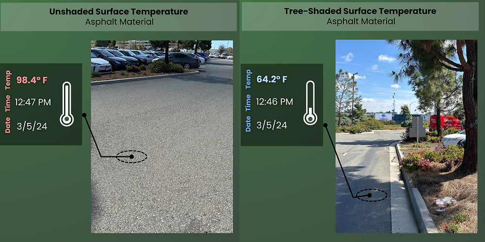 July 2024: Urban Heat vs. Urban Trees