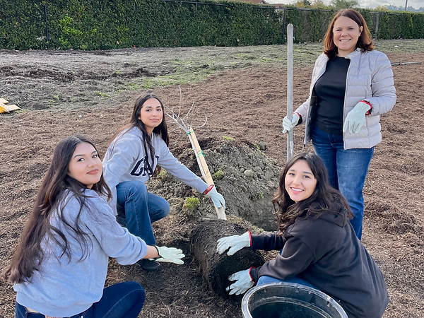 Regional Tree Planting | Tree San Diego