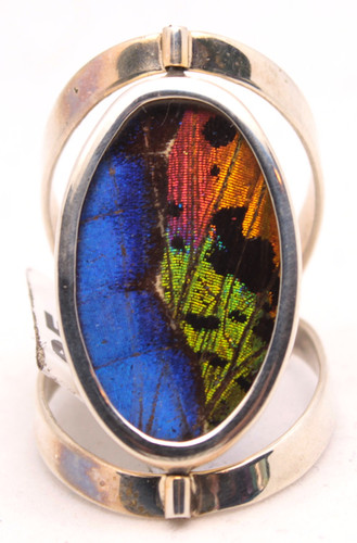 Reversible Butterfly Wing Ring | Pendragon Jewelry