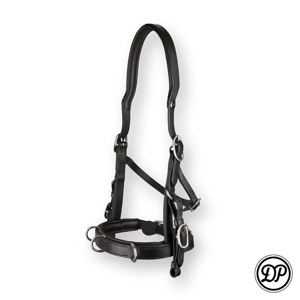 SF29 Soft Feel Cavesson (no reins) | dpsaddlery