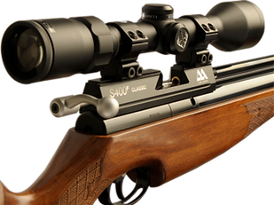 Air Arms | Sandwell Field Sport