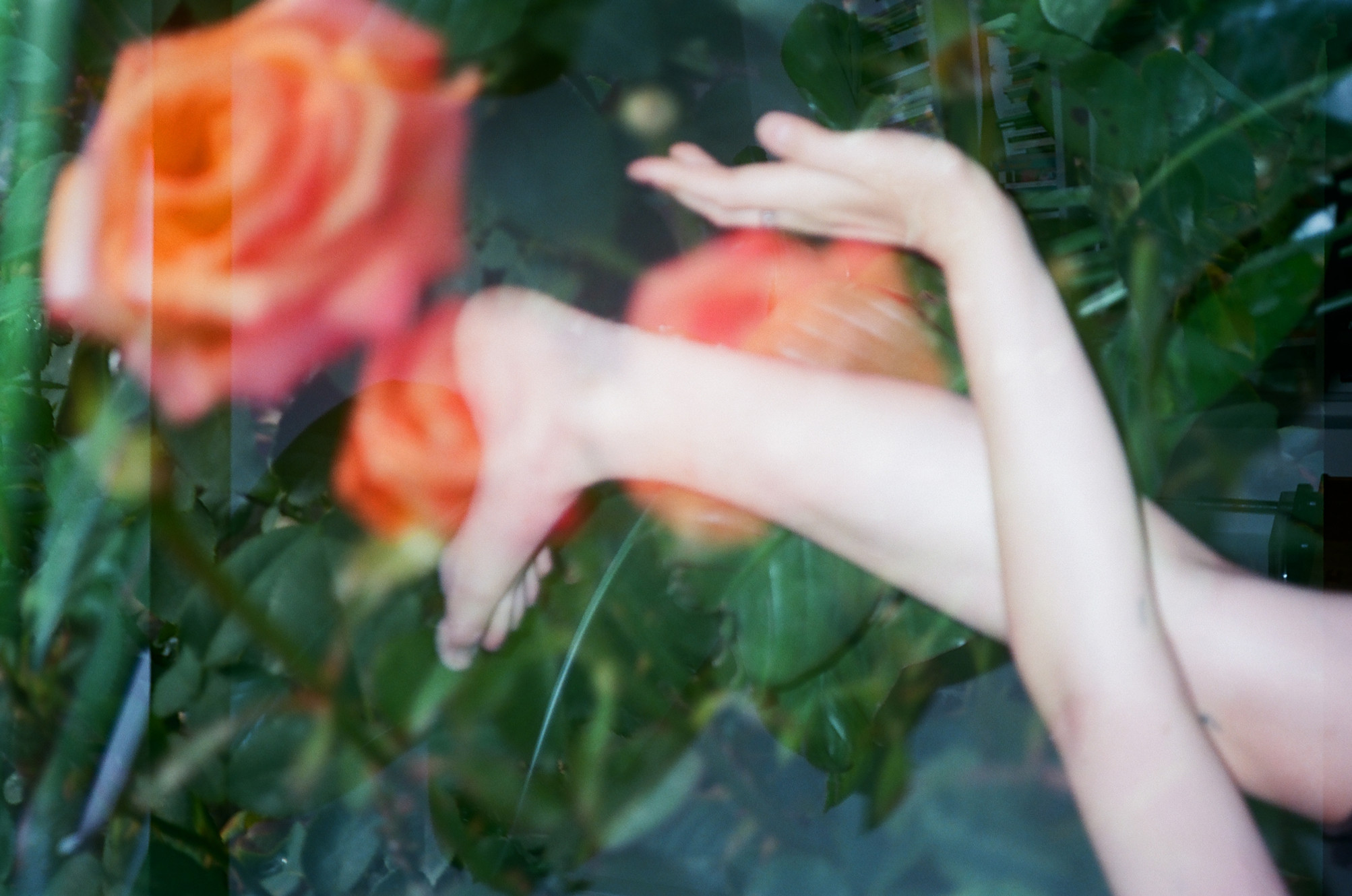 performance | Jay Beardsley