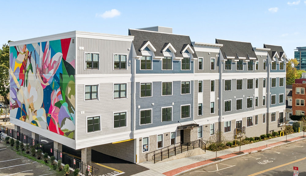 Bringing a Touch of Spring Even in Winter: The Stillwater Stamford's ...