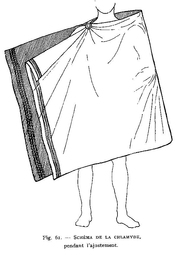 The Chlamys | rhesidae