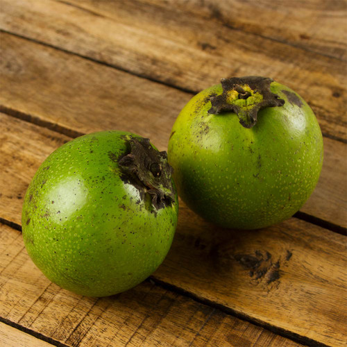 ZAPOTE NEGRO | Discom Ferso