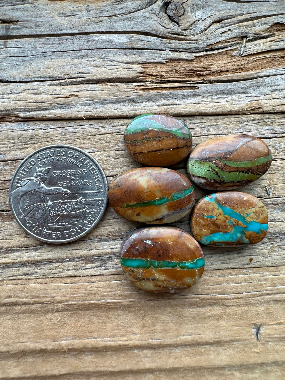 SHOP | Mysite 1 3/34