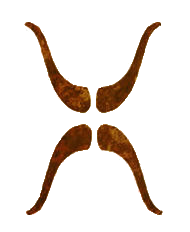 The Tuchuk Tribe | the-dreaded-tuchuks