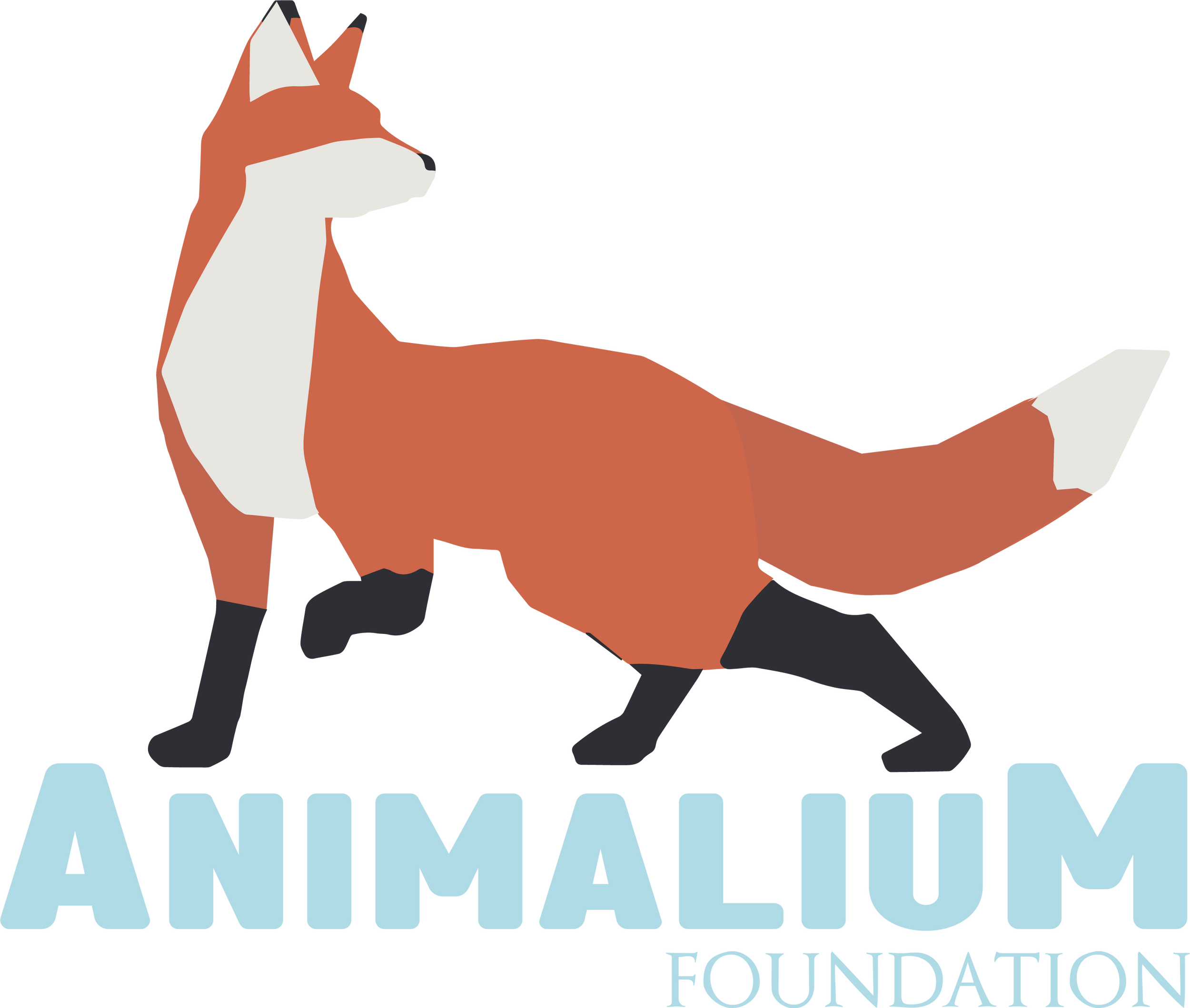 Animalium Foundation | Un solo bienestar