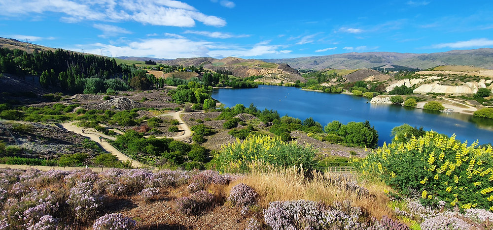The Lake Dunstan Trail