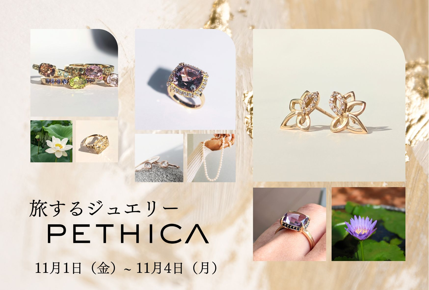 PETHICA個展のお知らせ 2024