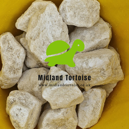 1kg Natural Lump Chalk | Midlandtortoise