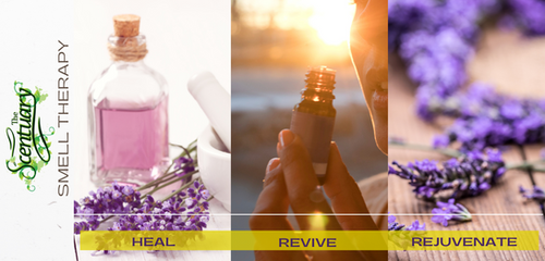 Smell Therapy | the-scentuary