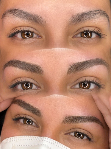 Bold Brows | My Site 4