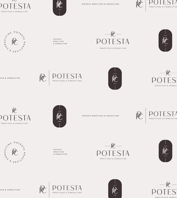 Potesta Practices & Consulting | Rosie Design Studio