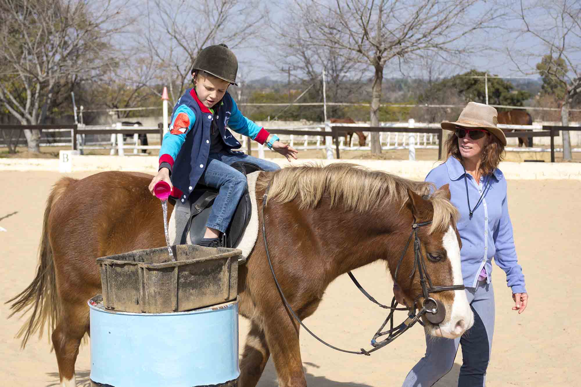 Capriole Stables riding lessons near Midstream and Centurion