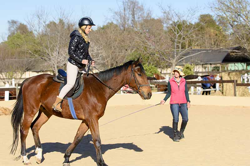 Capriole Stables riding lessons near Midstream and Centurion