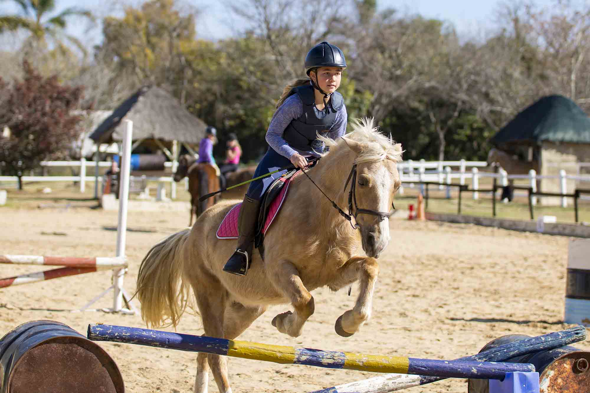 Capriole Stables riding lessons near Midstream and Centurion